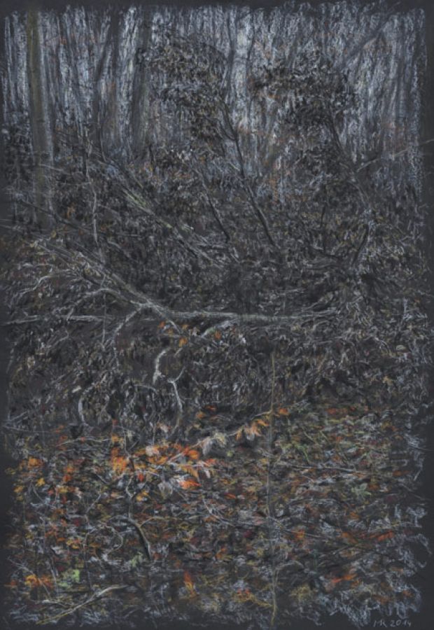 Marc Rogat, BBK Schwaben Nord und Augsburg